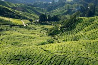 Cameron Highlands Golf & Country Club | Pahang Golf Course in Malaysia