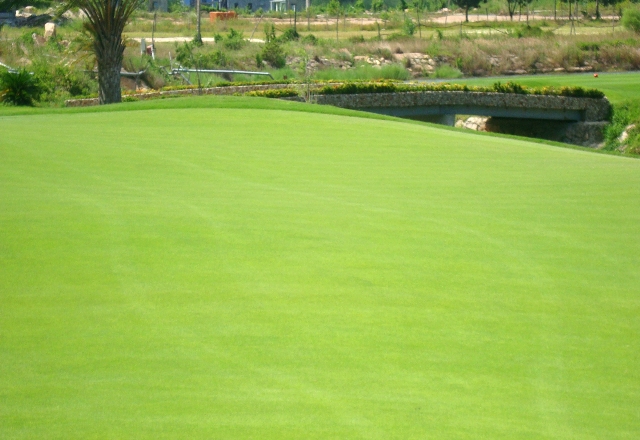 Diamond Bay Golf & Villas in Nha Trang | Vietnam Golf Course